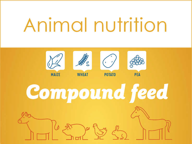 Roquette offer for coumpound feed and coarse mix