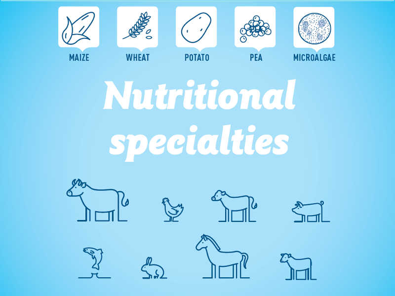 Animal nutrition: pet food nutrition, farm feeding and compound feed