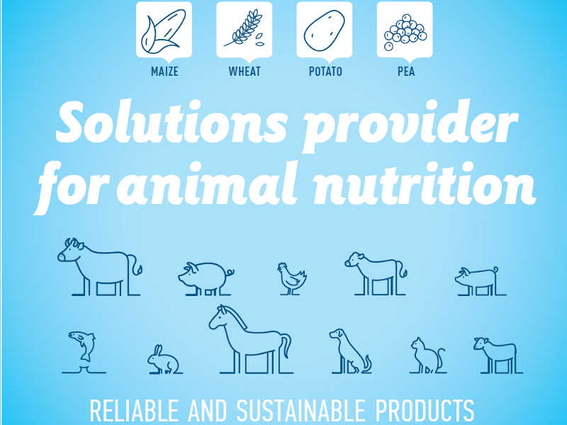 Animal nutrition: pet food nutrition, farm feeding and compound feed