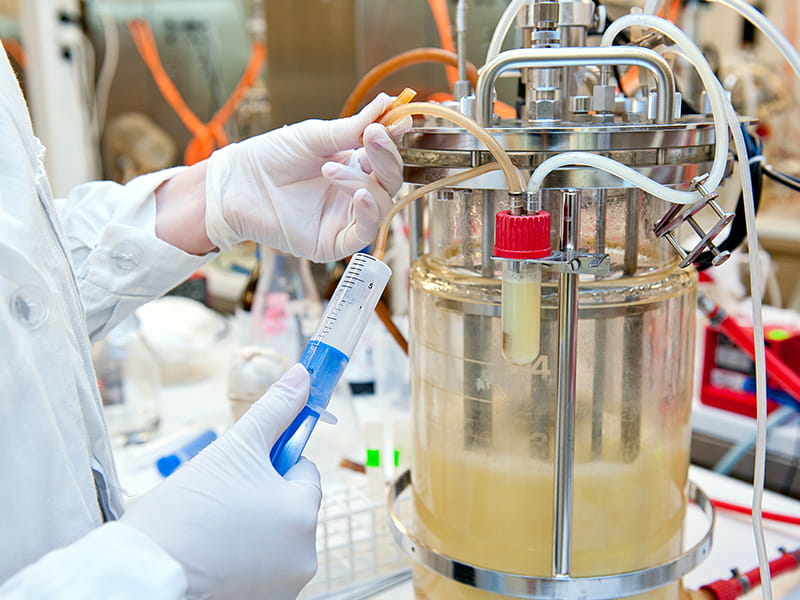 NUTRALYS® H85 pea protein for the fermentation market - Bio-industry ...