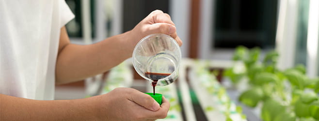 Article: Microbial stabilization of biocontrol products - Plant care