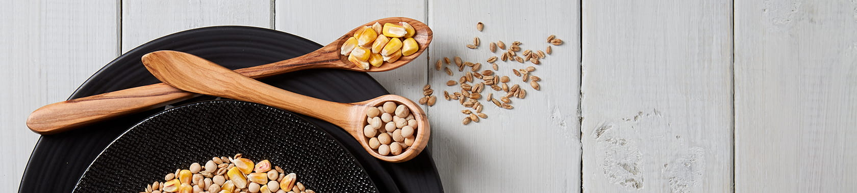 Dietary fibers: providing soluble and insoluble fiber