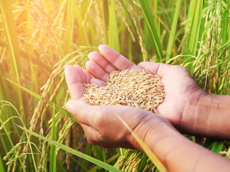 KLEPTOSE® HPB-LB parenteral grade, a multi-compendial excipient for ...