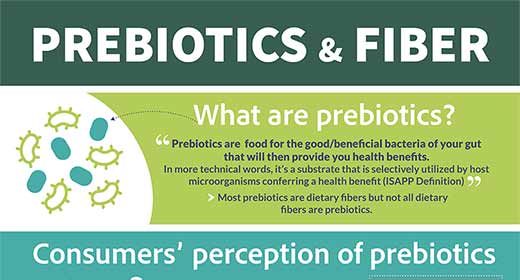 Infographics on Prebiotics and Fiber