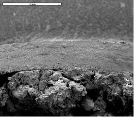 Decreasing chipping of maltitol-coated chewing gum | Innovation Hub ...