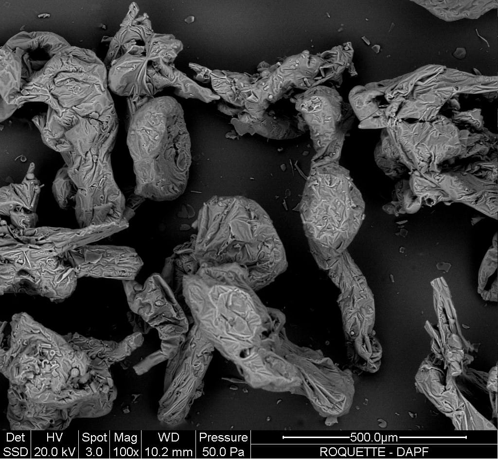 Roquette's GLUCIDEX® IT 12 P potato maltodextrin