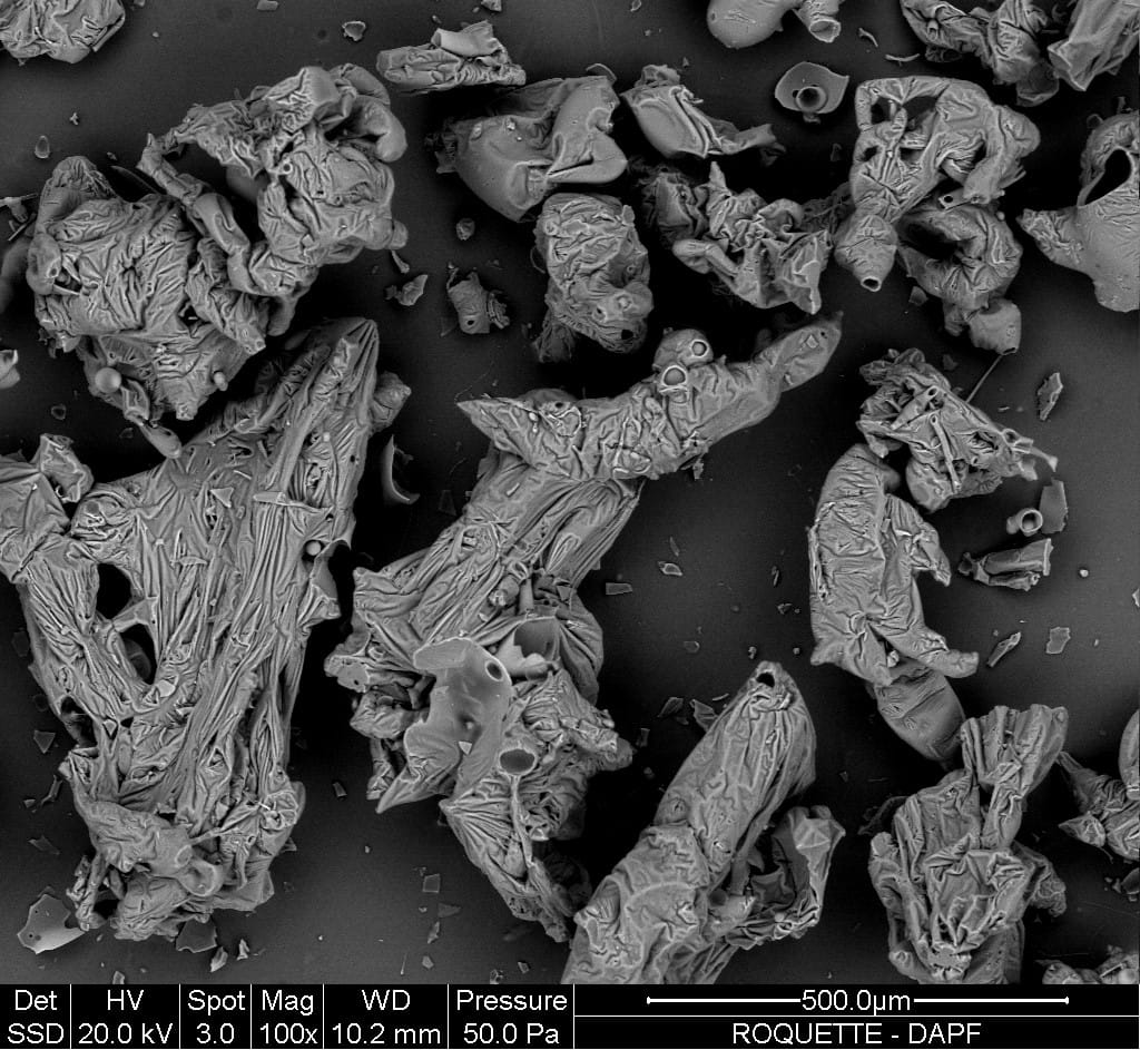 Roquette's GLUCIDEX® IT 12 W wheat maltodextrin