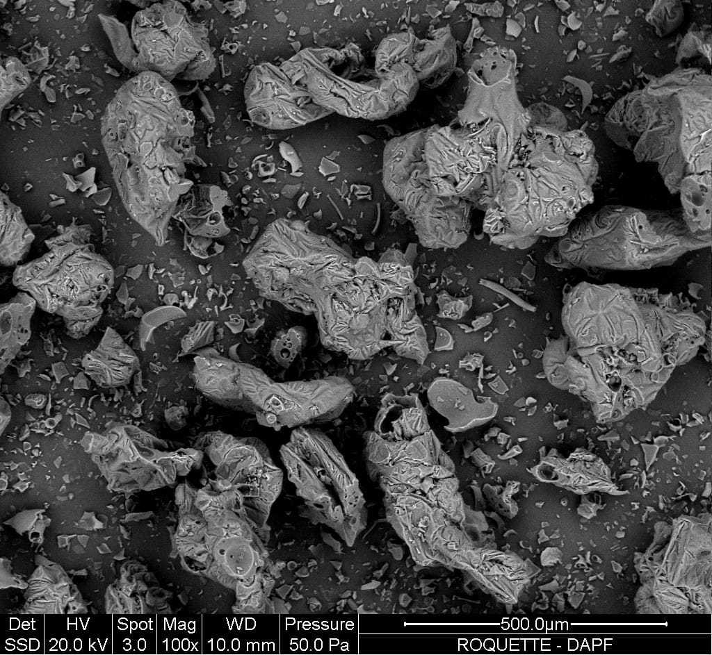 GLUCIDEX® 9 Potato Maltodextrin | Innovation Hub | Roquette