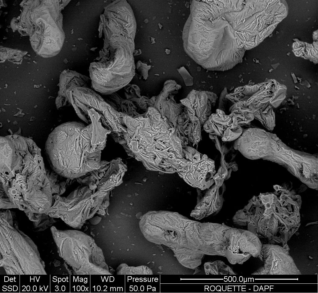 GLUCIDEX® IT 19 Maize Maltodextrin | Innovation Hub | Roquette