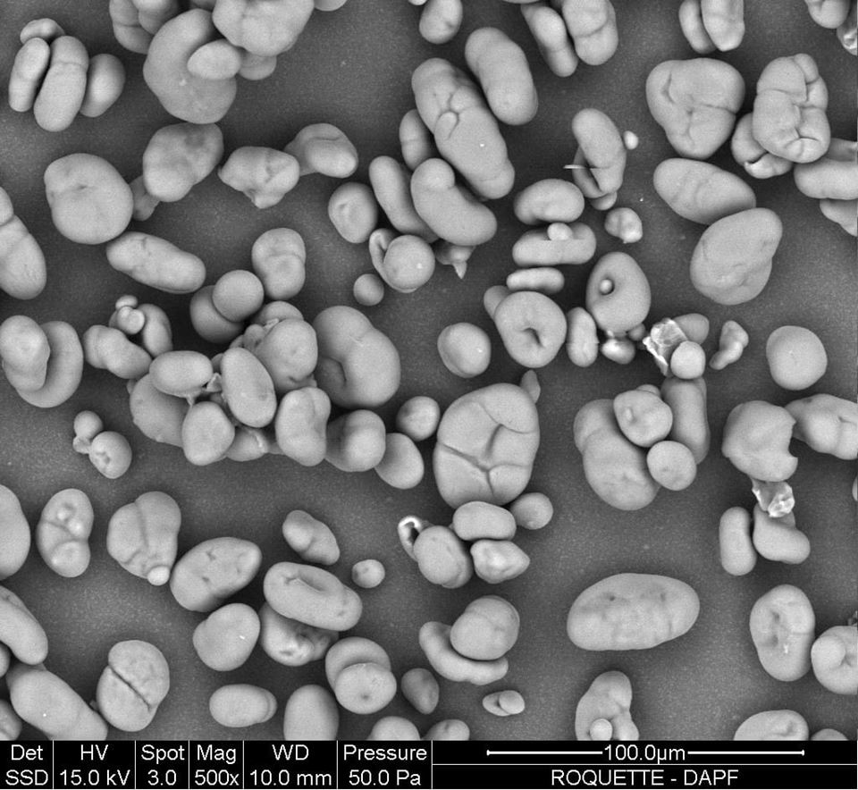 PEA STARCH N-735 in pharmaceutical and nutraceutical applications.