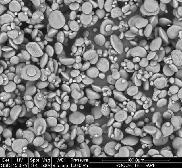 WHEAT STARCH TB Native Wheat Starch