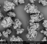 NEOSORB P 550 SD SORBITOL