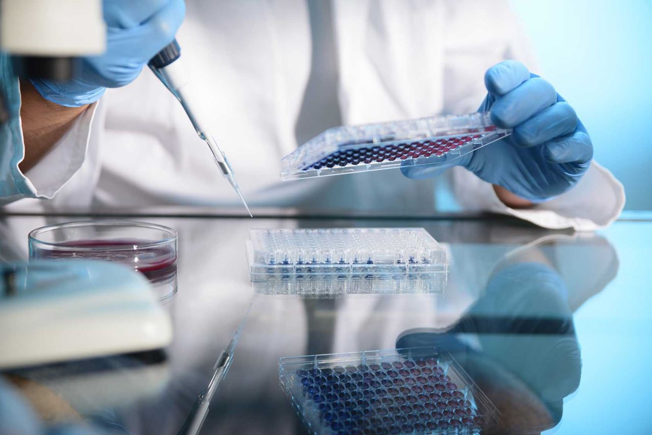 NEOSORB® P | Sorbitol Powder | Roquette