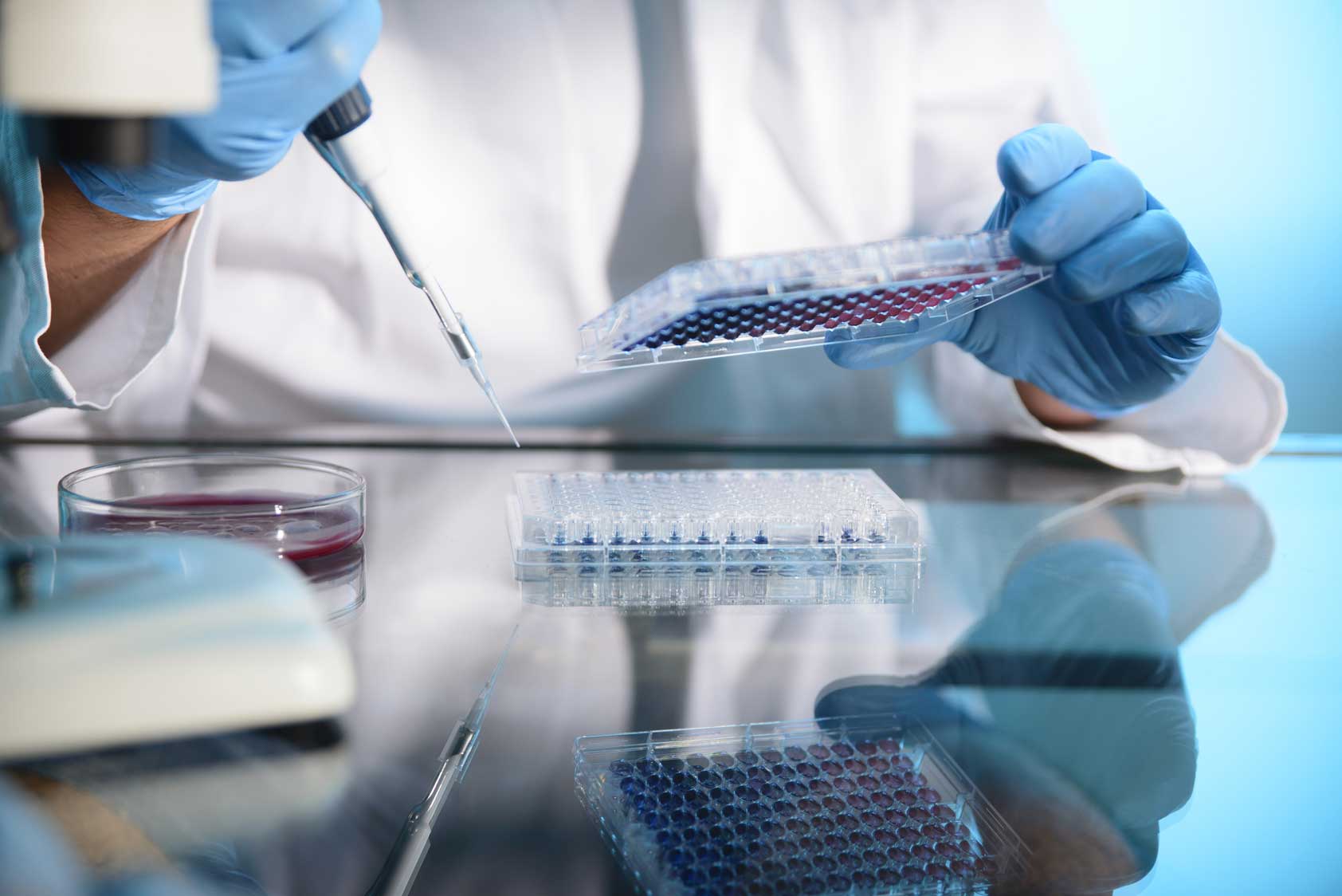 40 years in the Americas