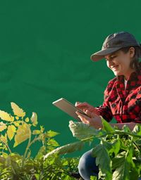 CLEARAM® CH | Modified Starches - Cook-up | Roquette