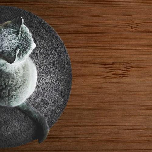 GLUCIDEX® l Maize Maltodextrin II l Roquette