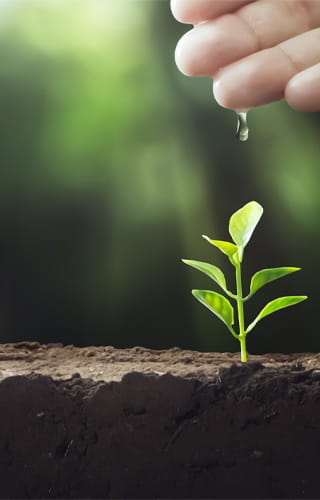 Roquette Qualicaps Acquisition Closing - Press release