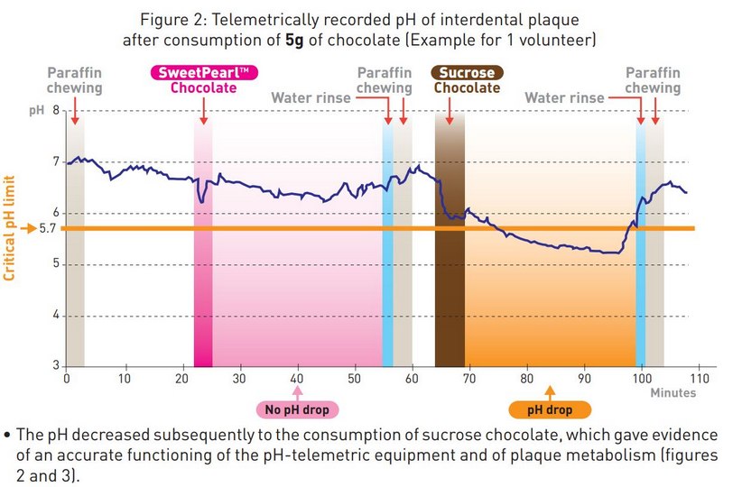 Sugar-Free Dark Chocolate Formulated with Maltitol